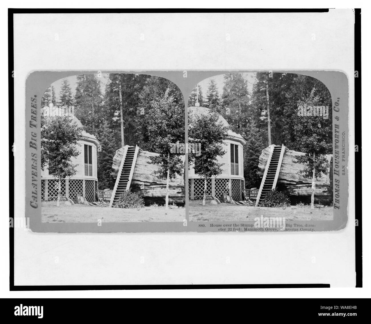 Calaveras big trees. House over the stump of the original big tree ...