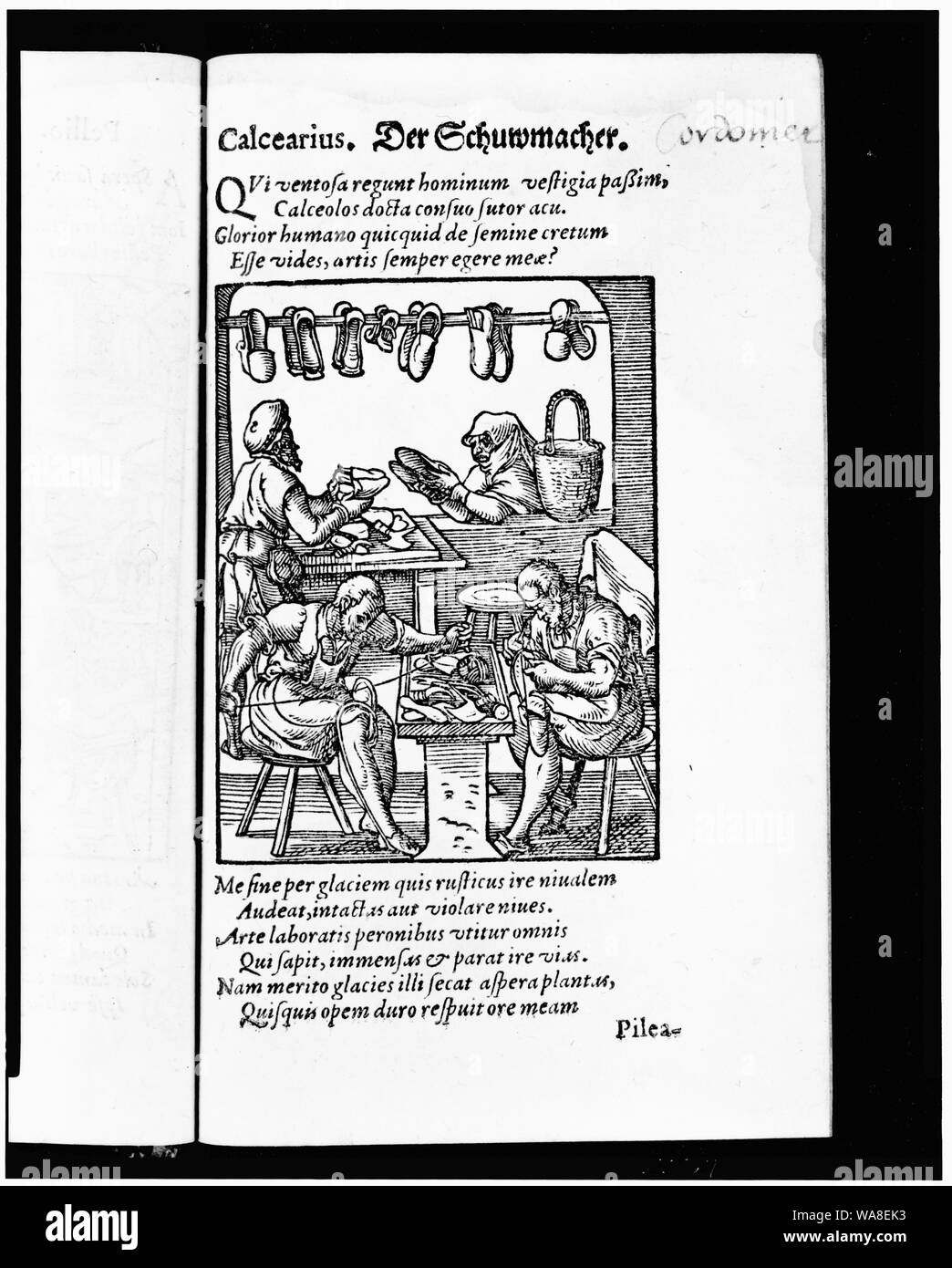 Schuhmacher Black and White Stock Photos & Images - Alamy