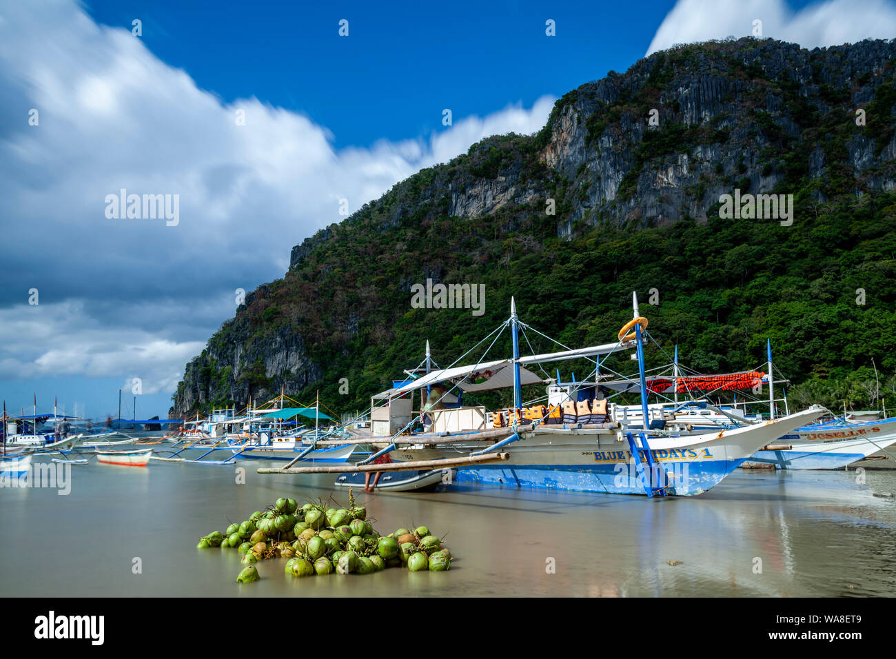 A Pile Of Buko (Fresh Coconuts) On Corong Corong Beach, El Nido ...