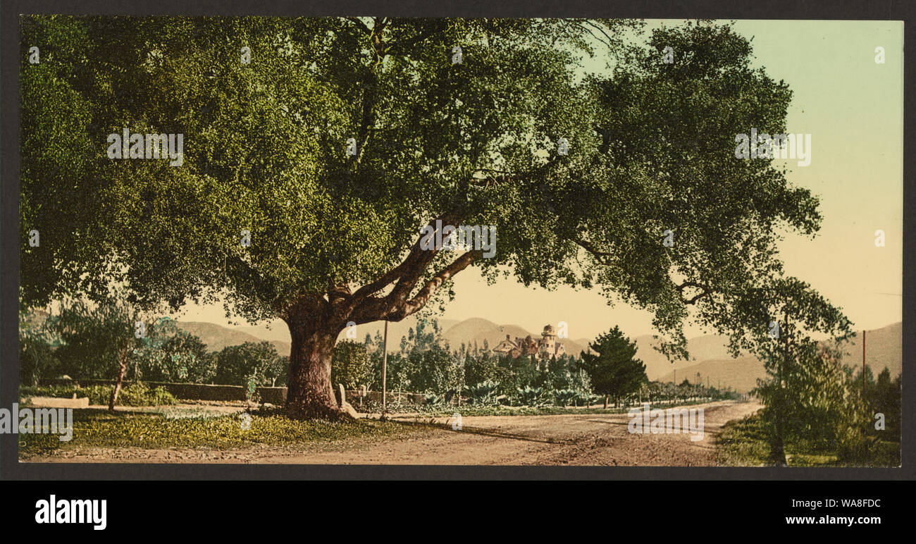 Grove avenue hi-res stock photography and images - Alamy