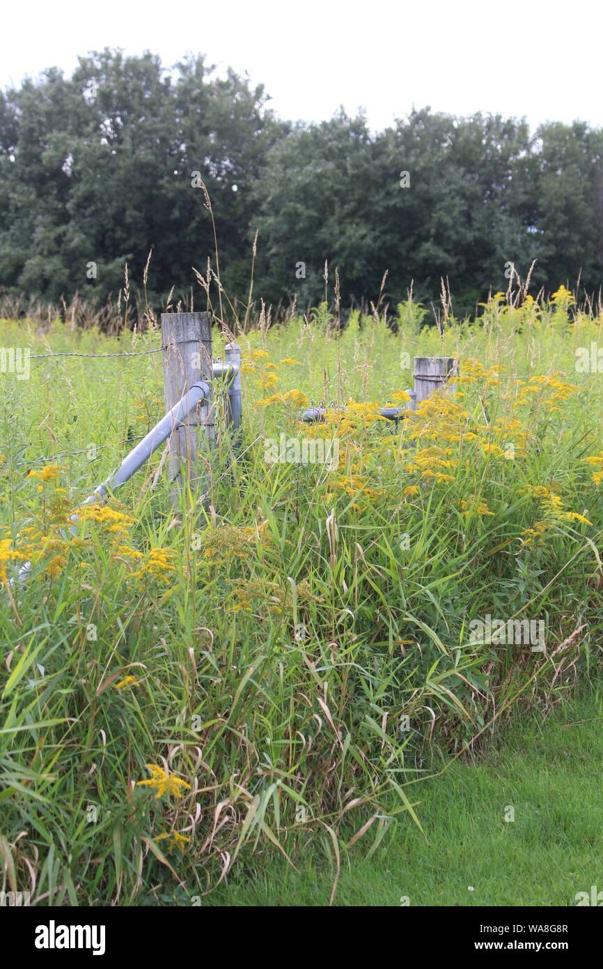 gated meadow with fence Stock Photo - Alamy