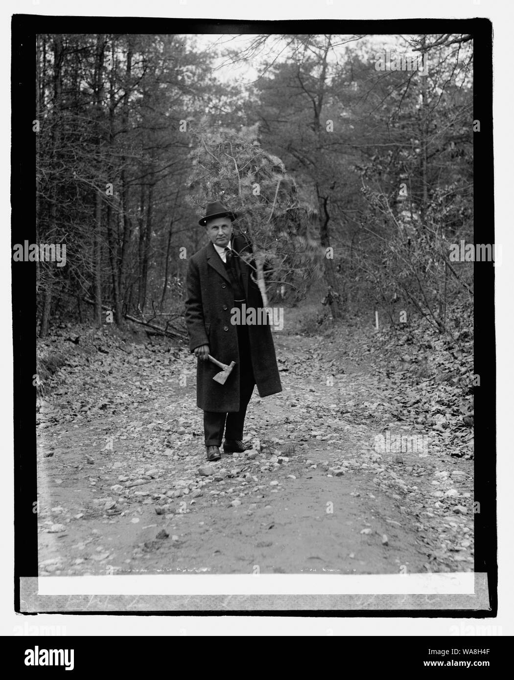 1920s christmas tree hi-res stock photography and images - Alamy