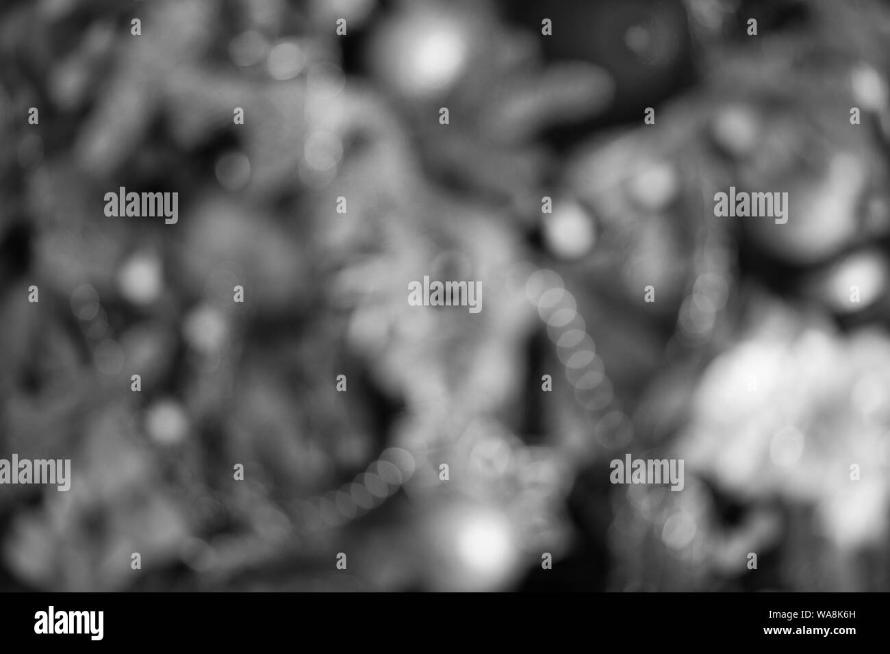 Christmas composition morning before Black and White Stock Photos ...