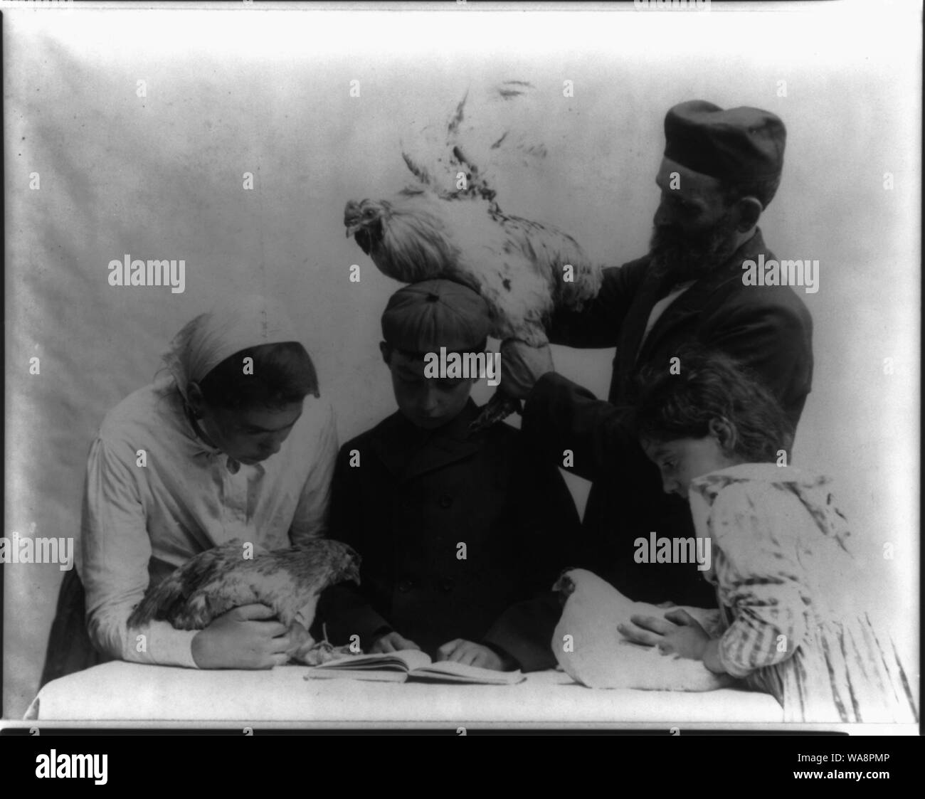 Kapparot hi-res stock photography and images - Alamy