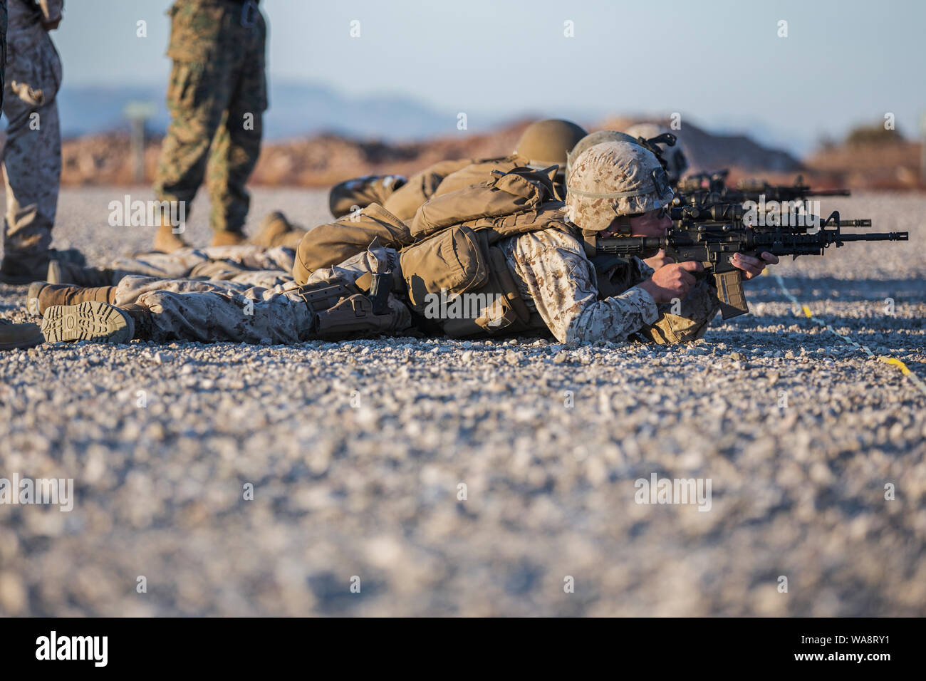 U.S. Marines currently assigned to the Military Working Dog (MWD) Team ...