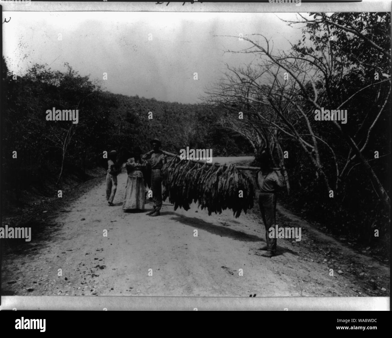 Industry economy agriculture in Black and White Stock Photos & Images ...