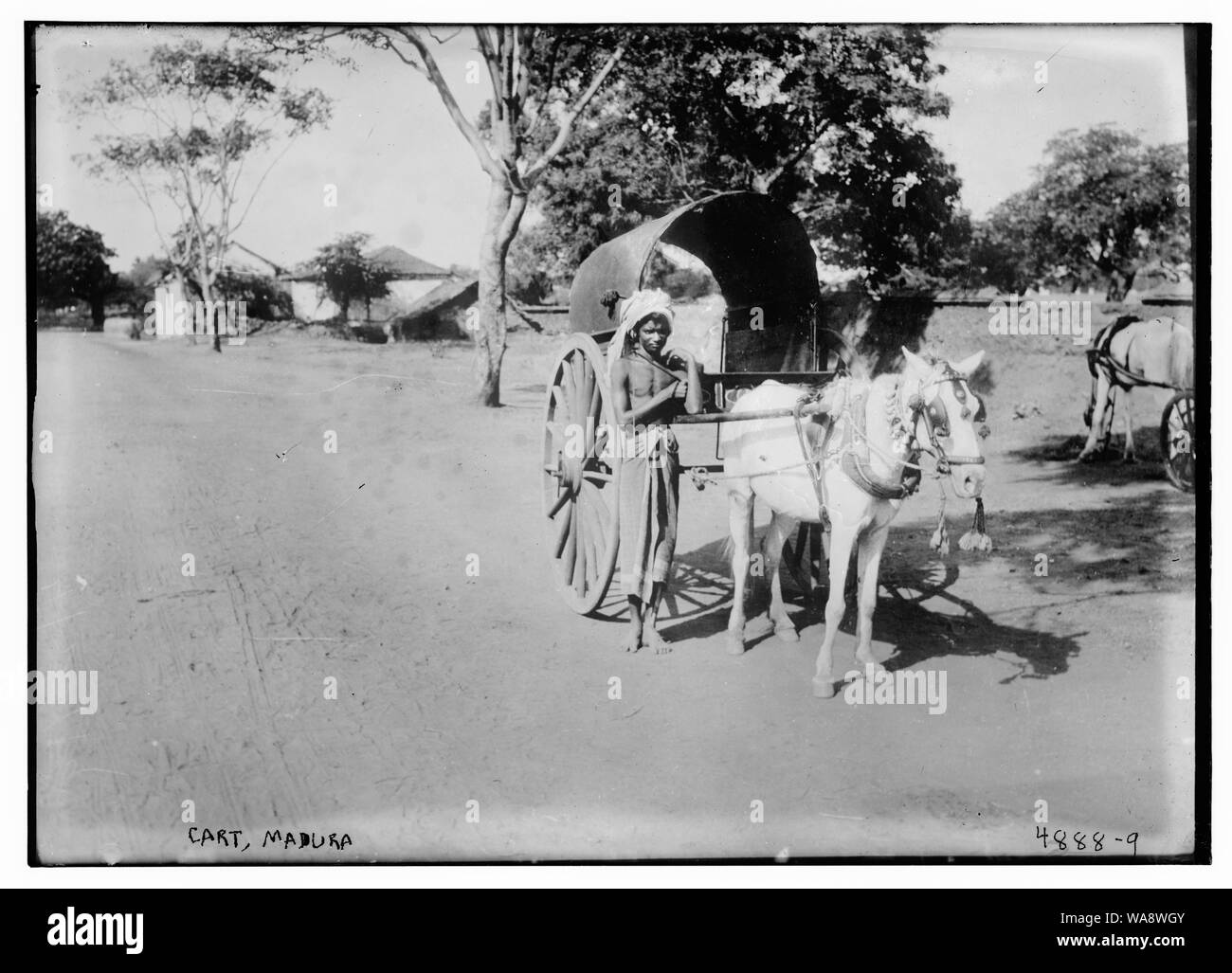 Madura Black and White Stock Photos & Images - Alamy