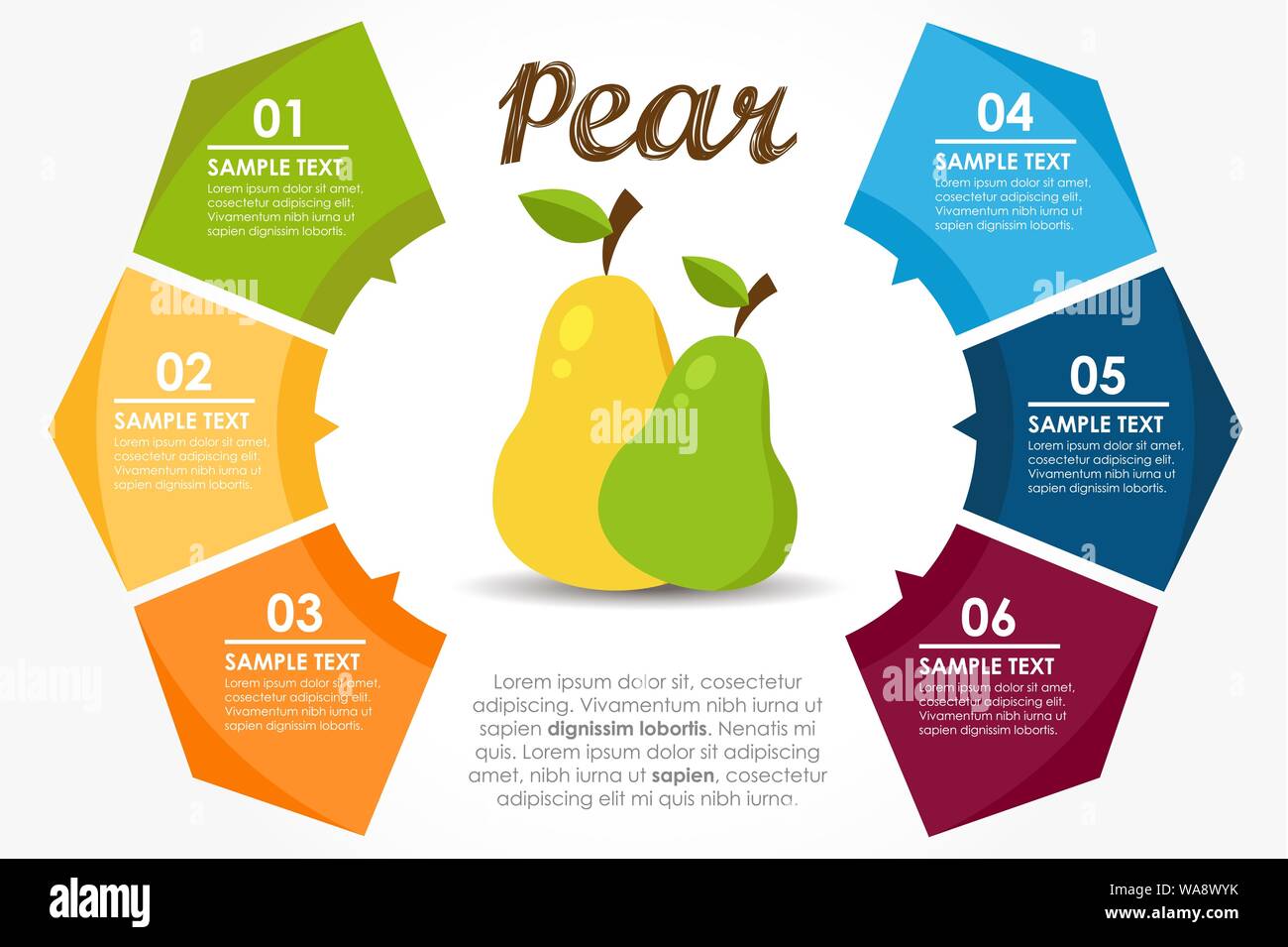 Template fruits nutritional properties. Pear circle infographic. Vector ...
