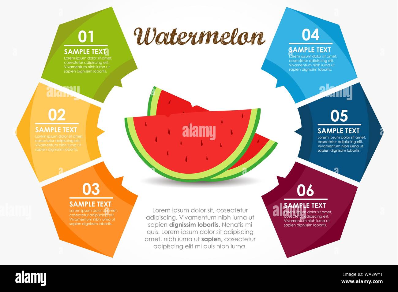 Template fruits nutritional properties. Watermelon circle infographic ...