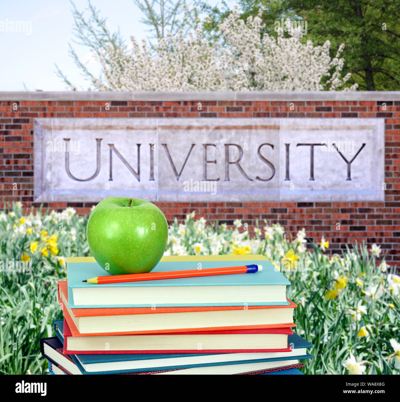 Spring season and concept of education: books in the front of ...