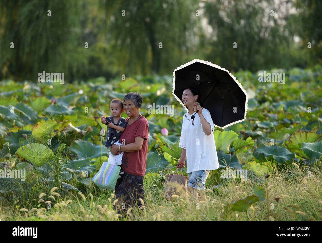 Hongze lake hi-res stock photography and images - Alamy
