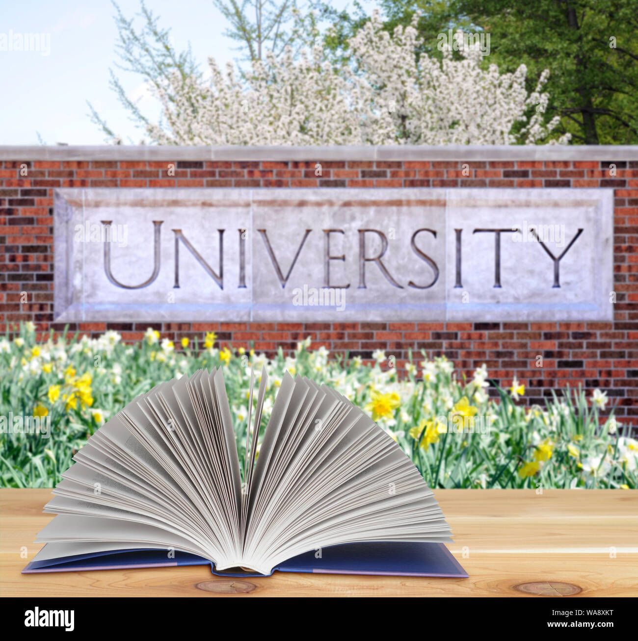 Spring season and concept of education: books in the front of ...