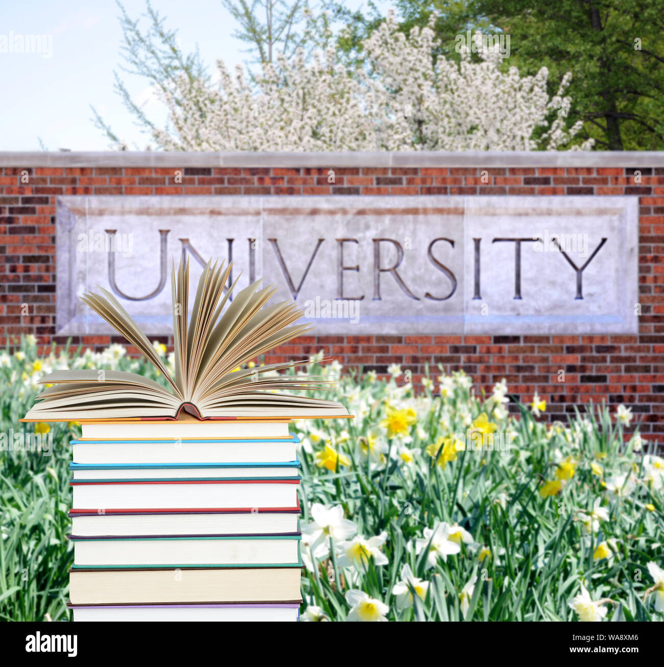 Spring season and concept of education: books in the front of ...