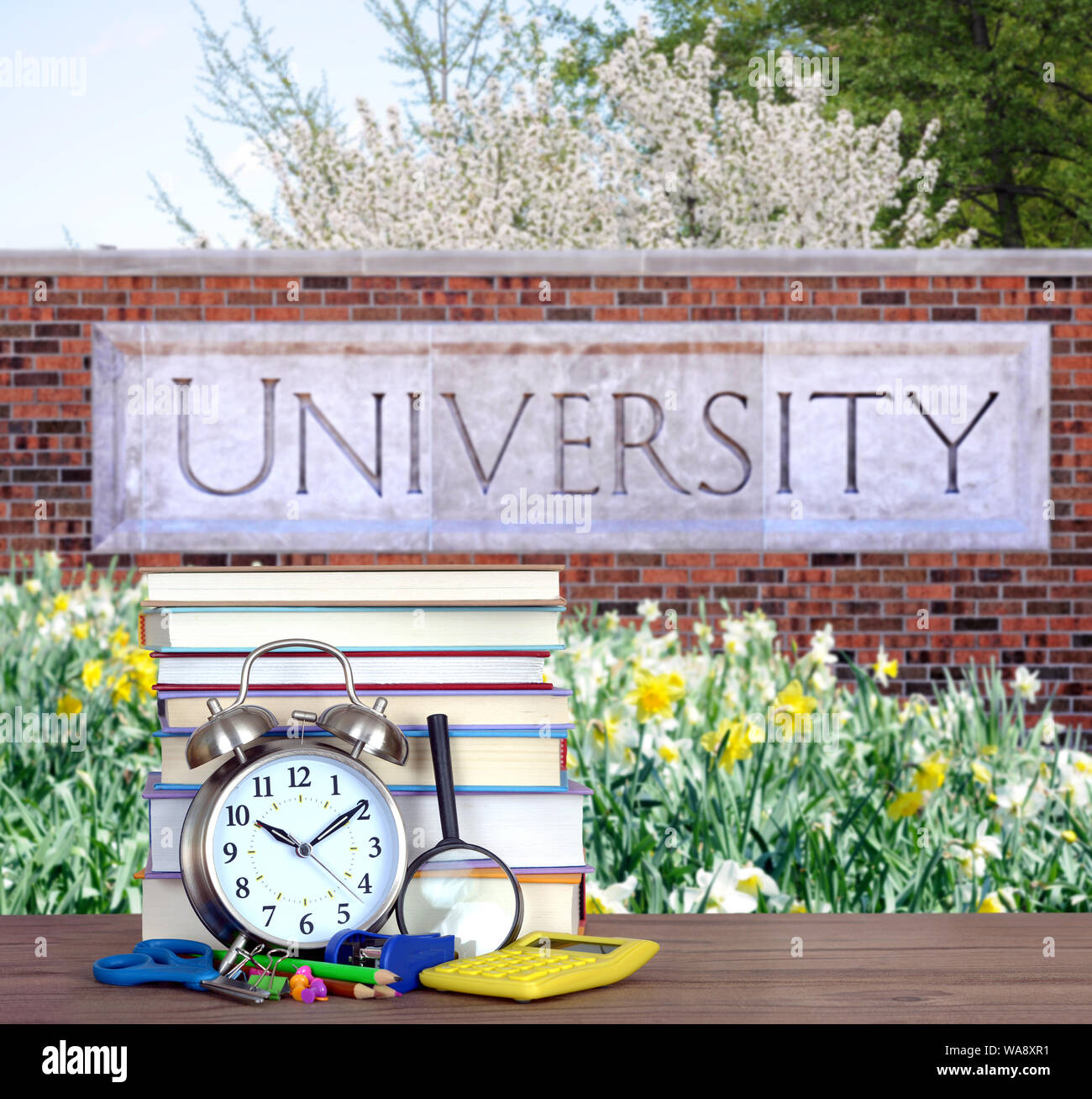 Spring season and concept of education: books in the front of ...