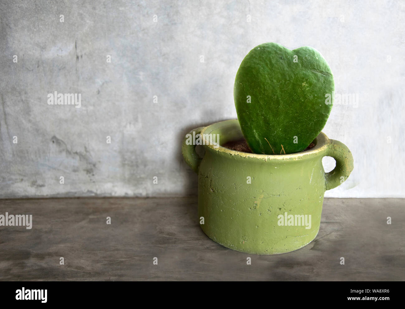 Cactus heart hi-res stock photography and images - Alamy
