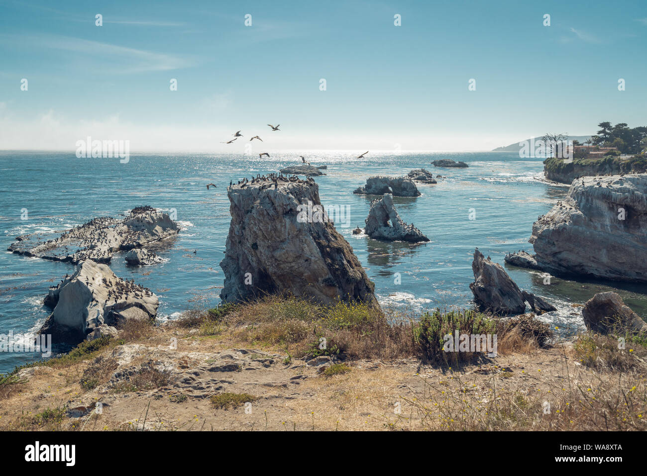 Cliffs, Rocks, Arches, and Flock of Birds. Shell Beach Area of Pismo ...