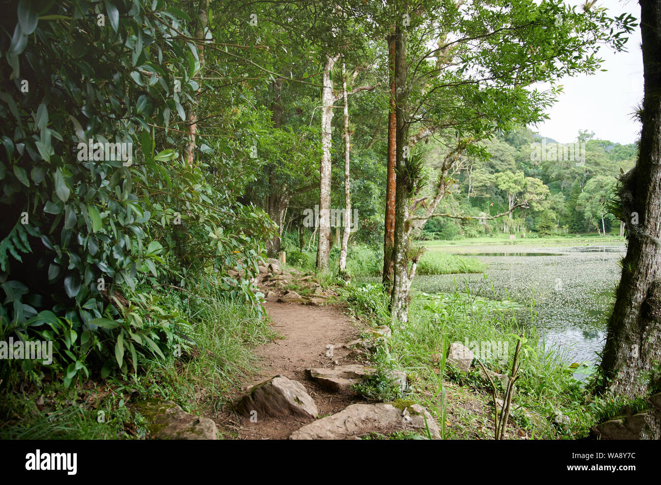 View on path pond hi-res stock photography and images - Alamy