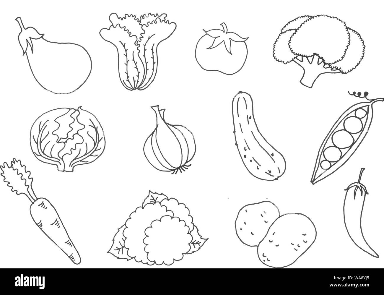 vector collection hand draw of vegetables Stock Photo - Alamy