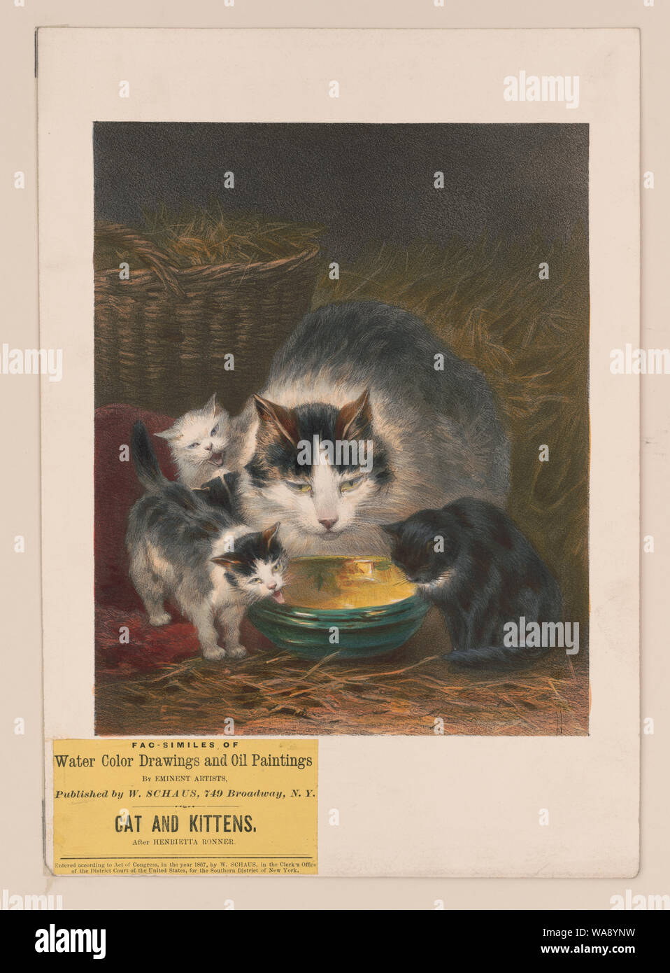 Henrietta ronner hi-res stock photography and images - Alamy