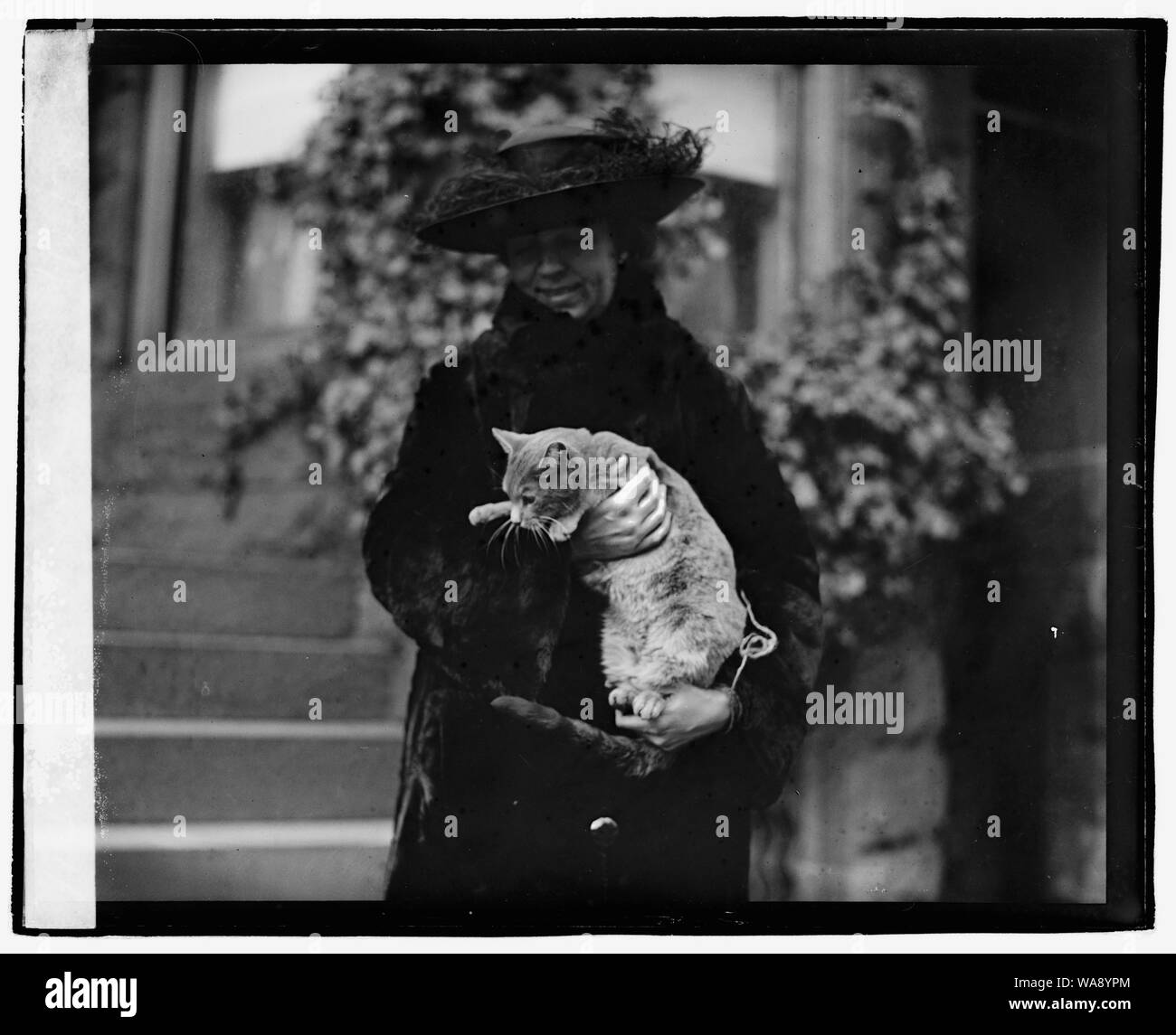 Vintage cat stories hi-res stock photography and images - Alamy