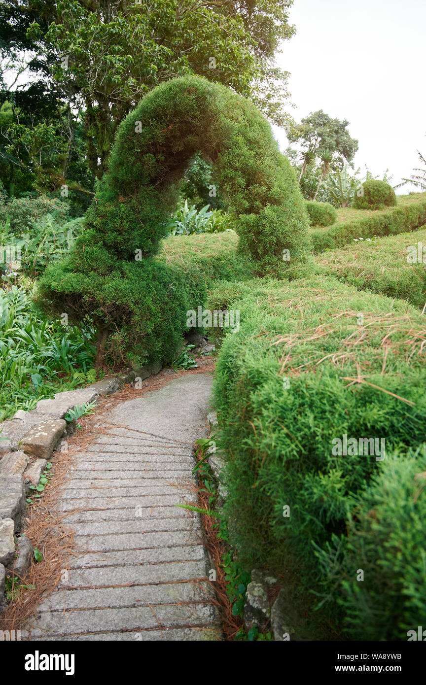 Green grass gate with cement walk way on natural background Stock Photo ...