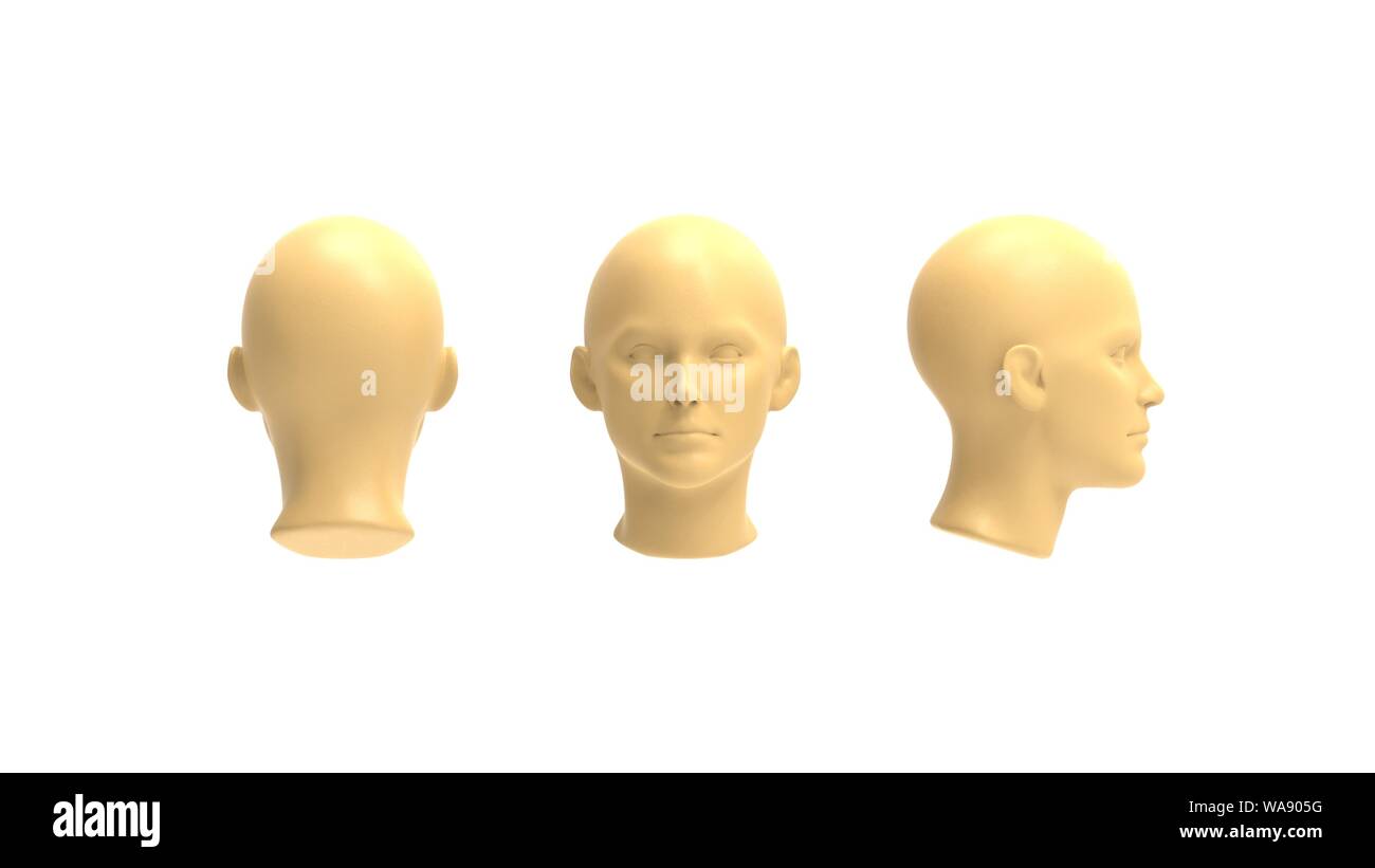 3d rendering of the top section of a human 3d model isolated in white ...