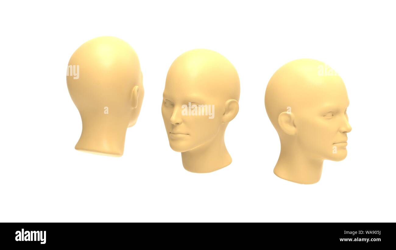 3d rendering of the top section of a human 3d model isolated in white ...