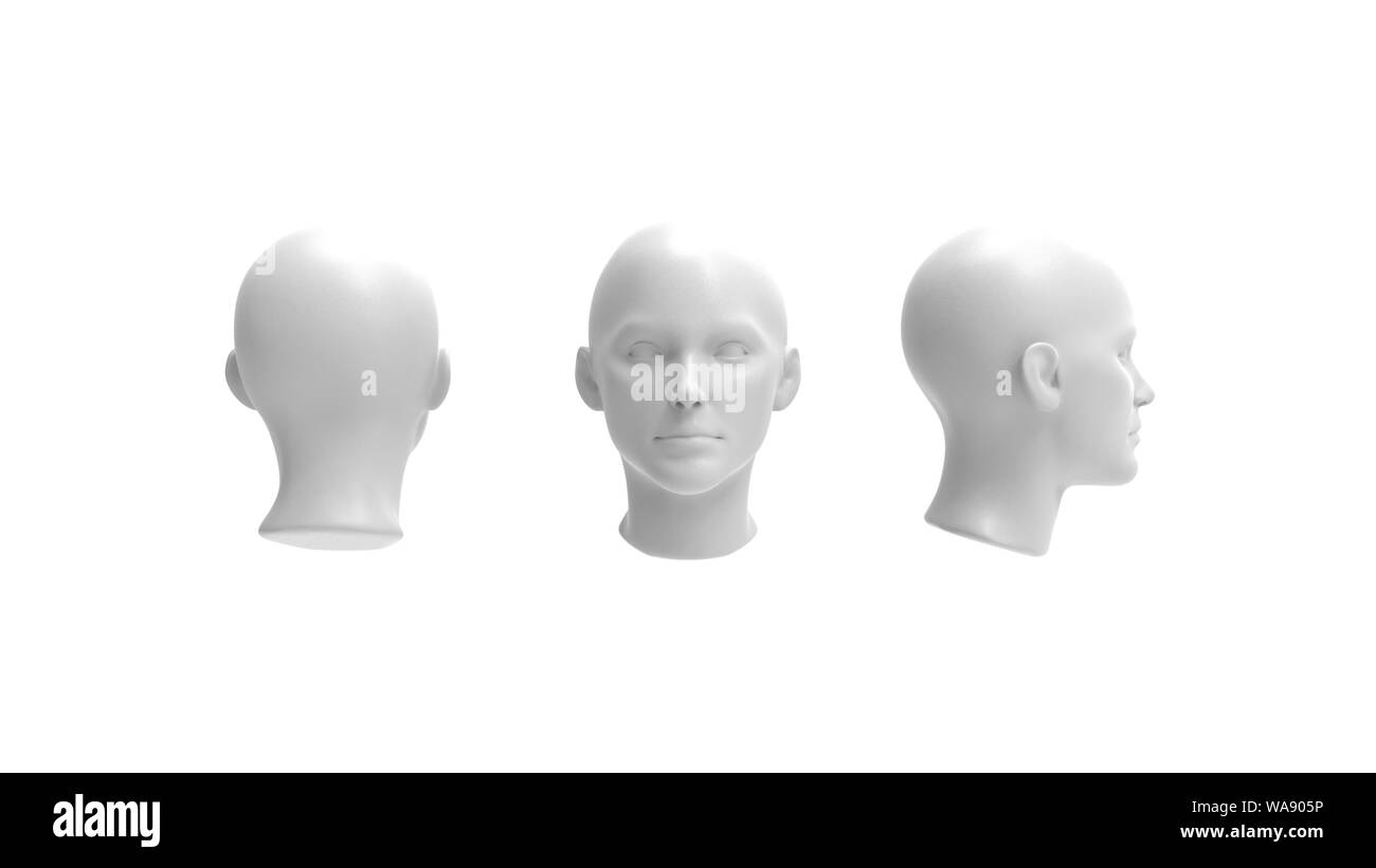 3d rendering of the top section of a human 3d model isolated in white ...