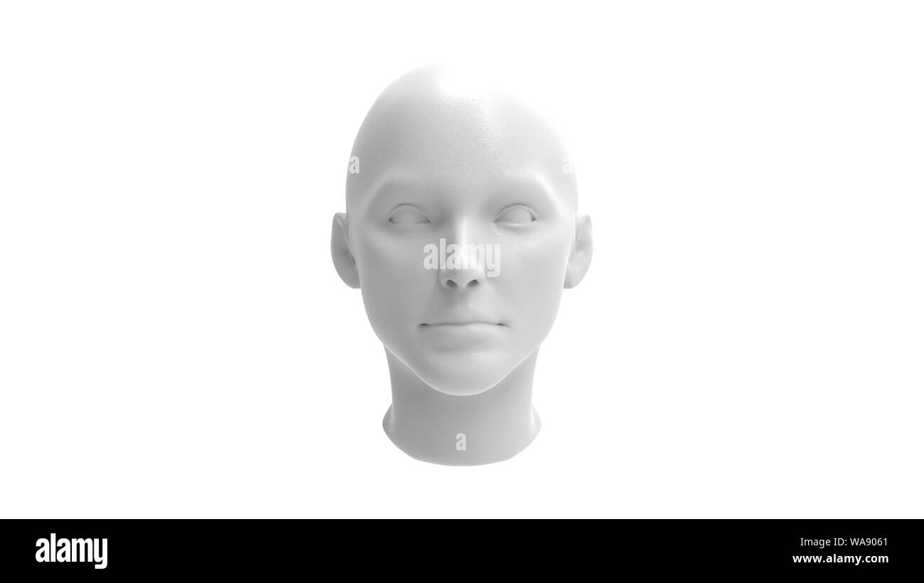 3d rendering of the top section of a human 3d model isolated in white ...