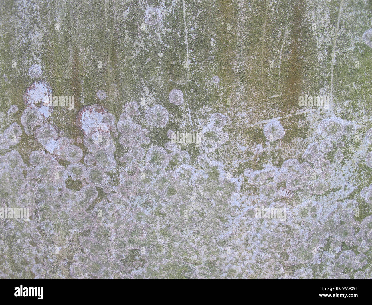 Material of old wall texture Stock Photo - Alamy