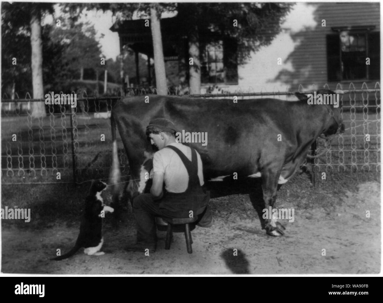 Very popular ingredient Black and White Stock Photos & Images - Alamy