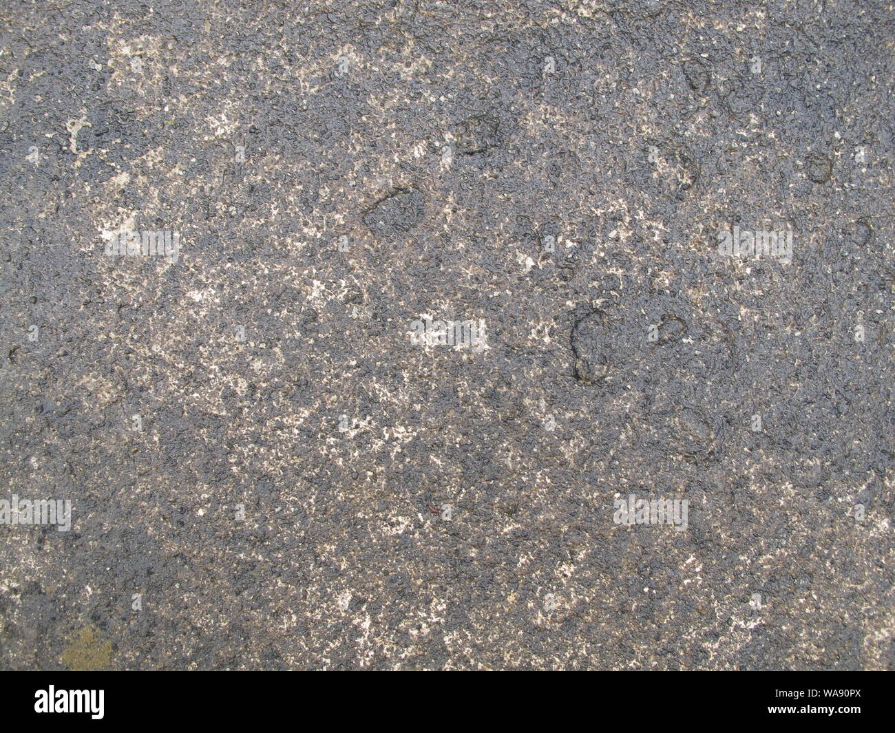 Wet cement floor texture material background Stock Photo - Alamy