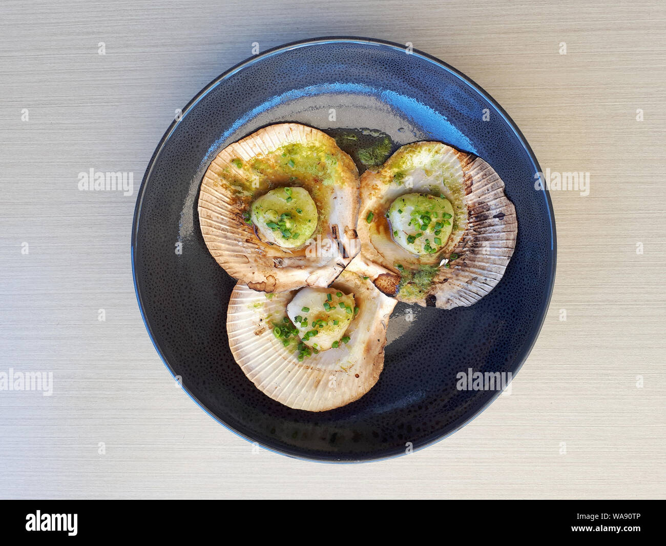 Shell table hi-res stock photography and images - Alamy