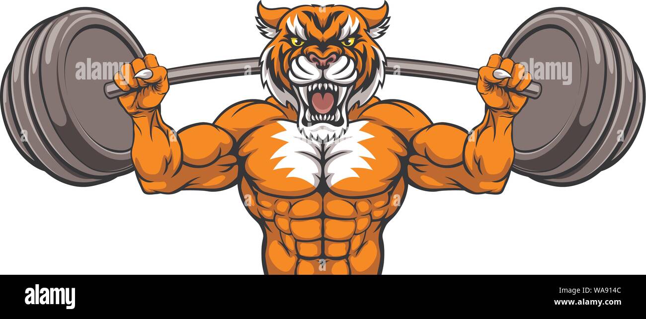Tiger Mascot Weight Lifting Barbell Body Builder Stock Vector Image & Art - Alamy
