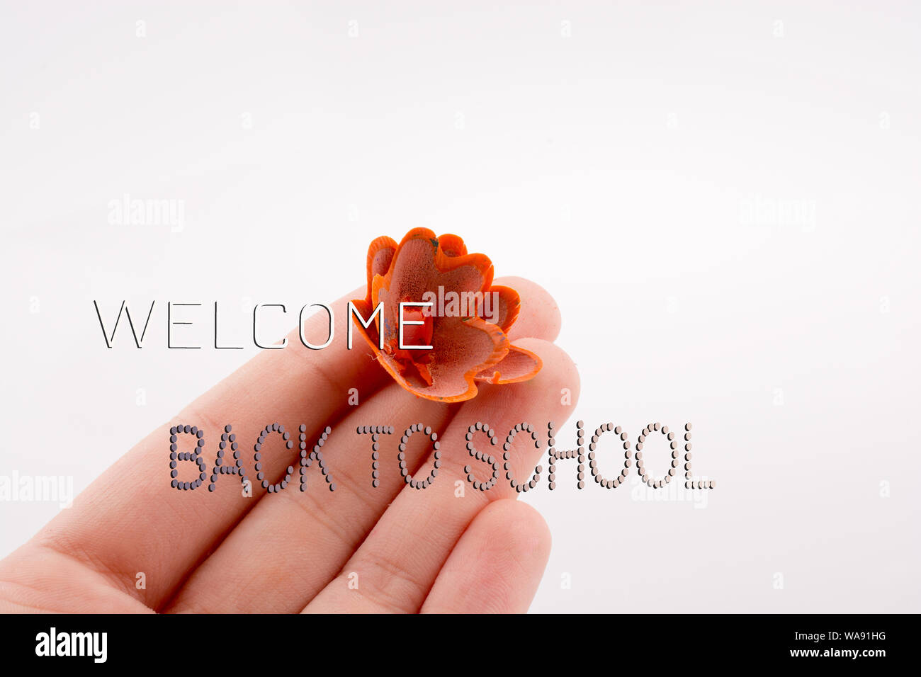 Back school student sharpening pencil hi-res stock photography and ...