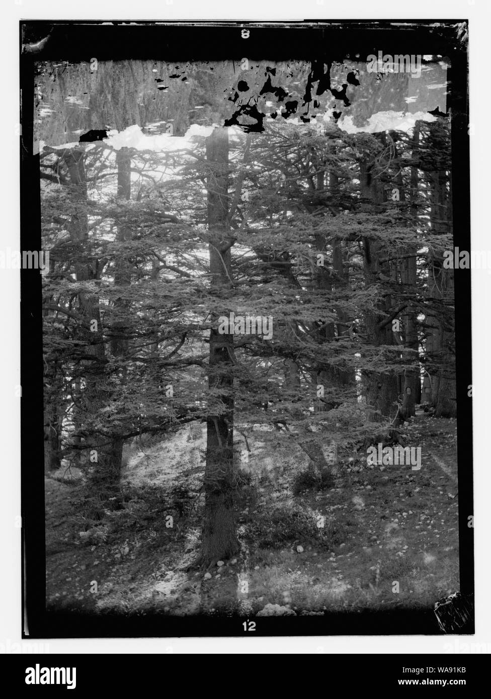 American family records hi-res stock photography and images - Alamy