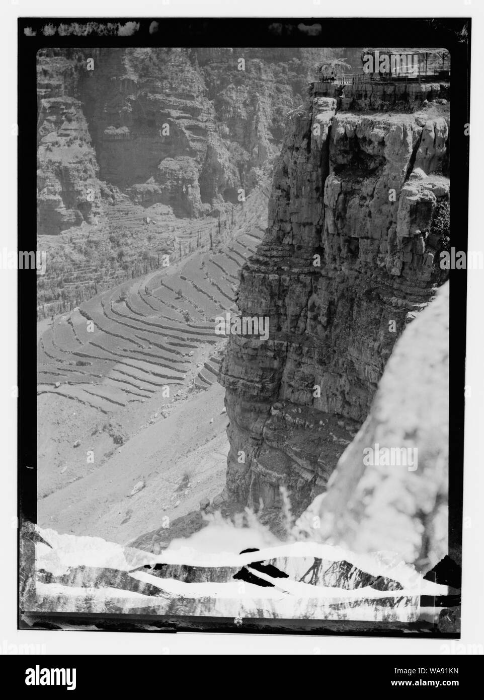 Cedars and Robinson family Stock Photo - Alamy