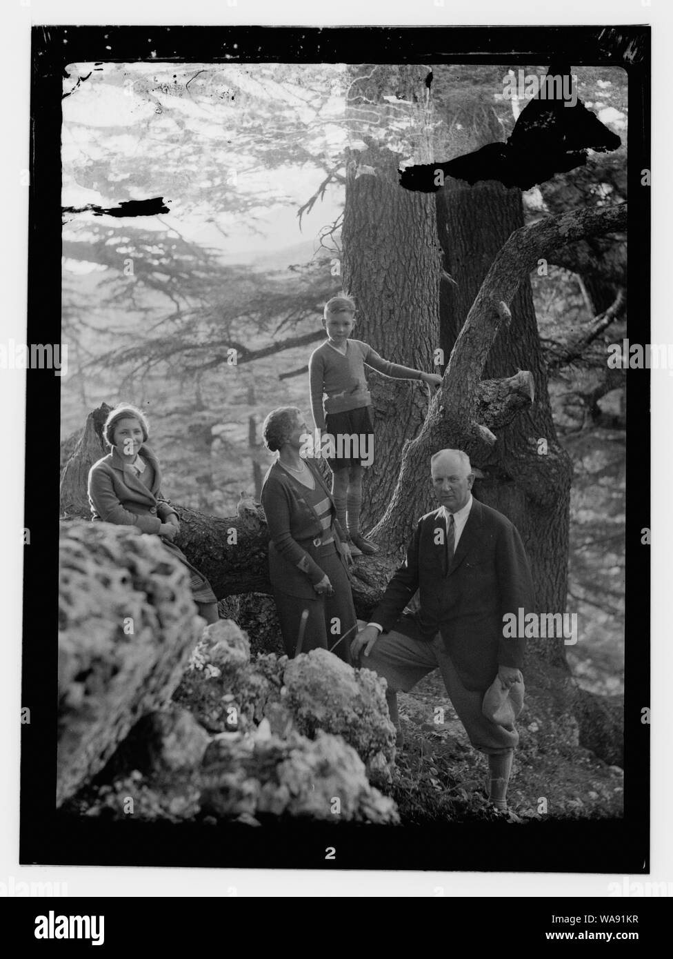 Cedars and Robinson family Stock Photo - Alamy