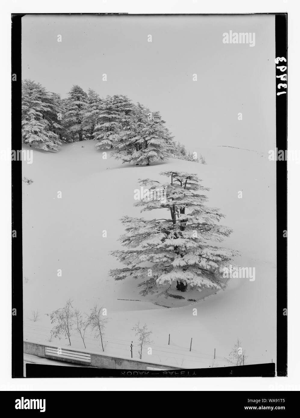 Through the forest Cut Out Stock Images & Pictures - Alamy