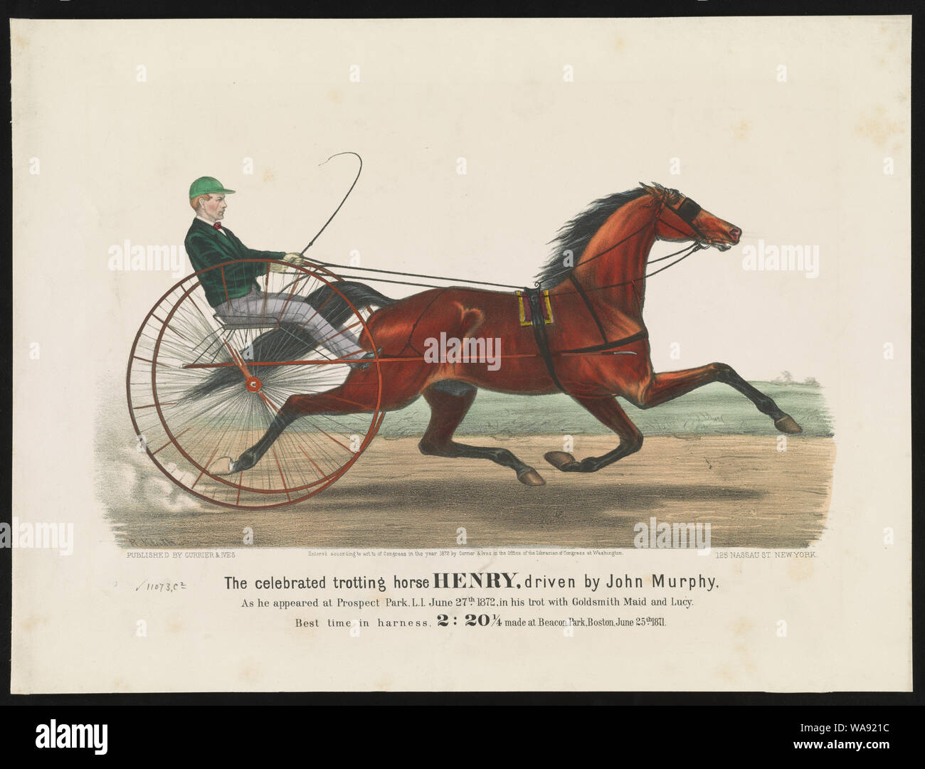 Celebrated trotting horse Henry, driven by John Murphy: As he appeared ...