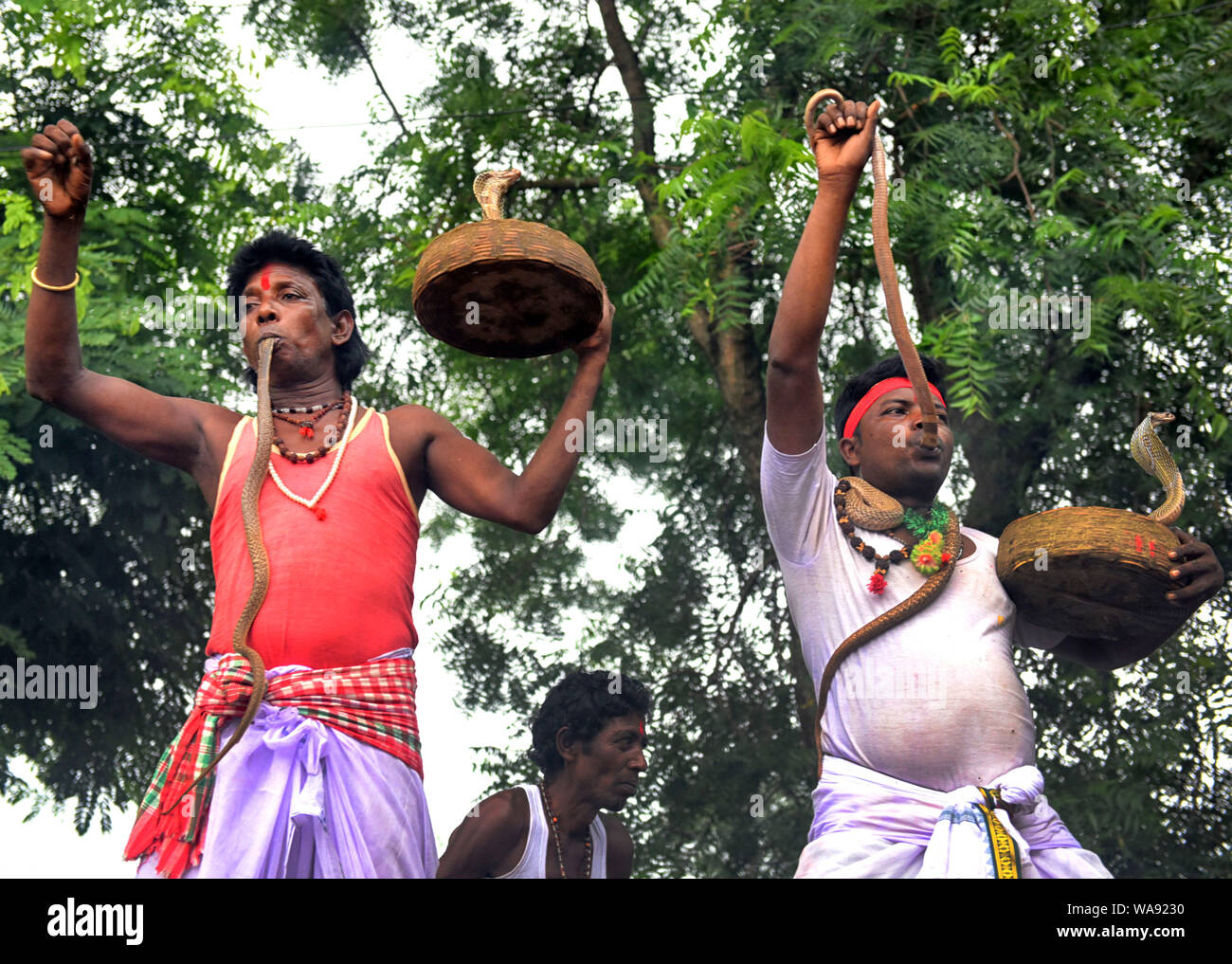 Snake Charmers seen showing different tricks with the venomous Snake's ...