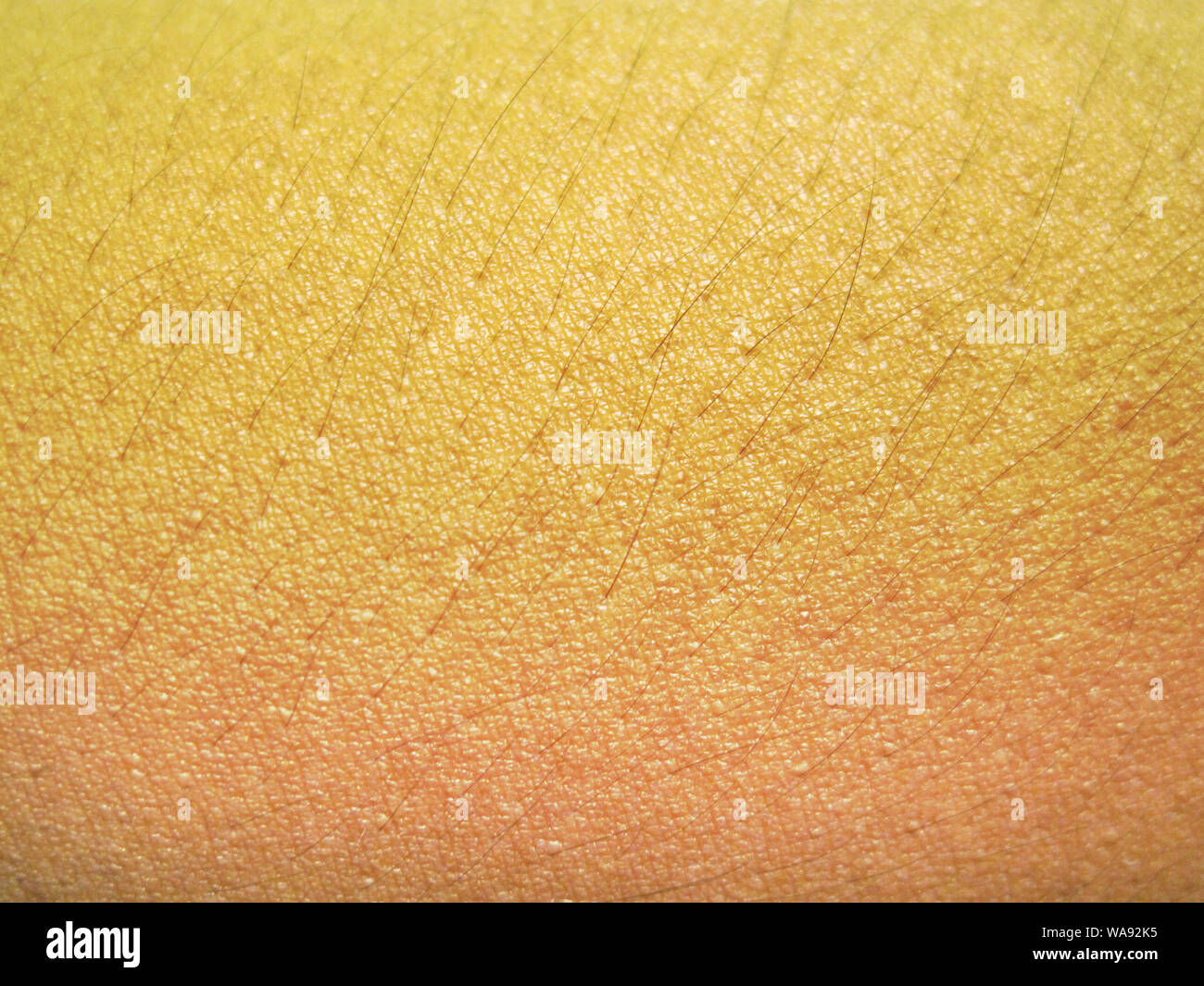 Human Skin Texture High Resolution Stock Photography and Images - Alamy