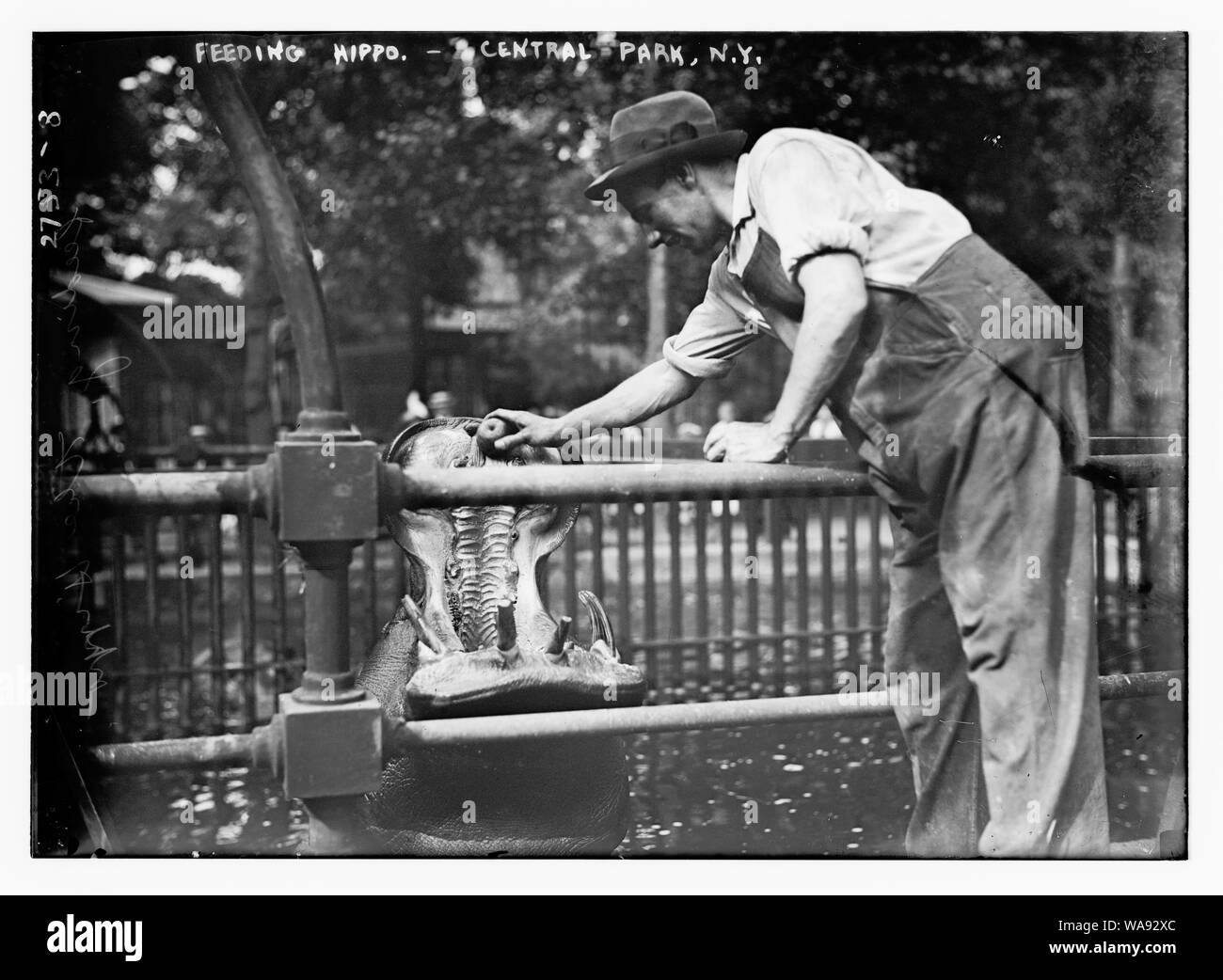 Central care Black and White Stock Photos & Images - Alamy