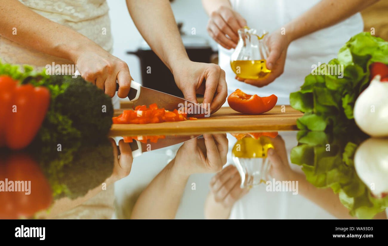 Closeup of human hands cooking in kitchen. Mother and daughter or two ...