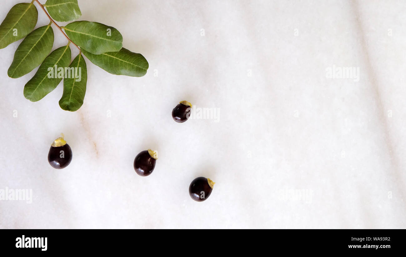 Flat lay of longan seeds and leaves on a marble surface. Longan is an ...