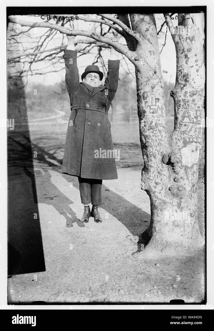 Hanging tree Black and White Stock Photos & Images - Alamy