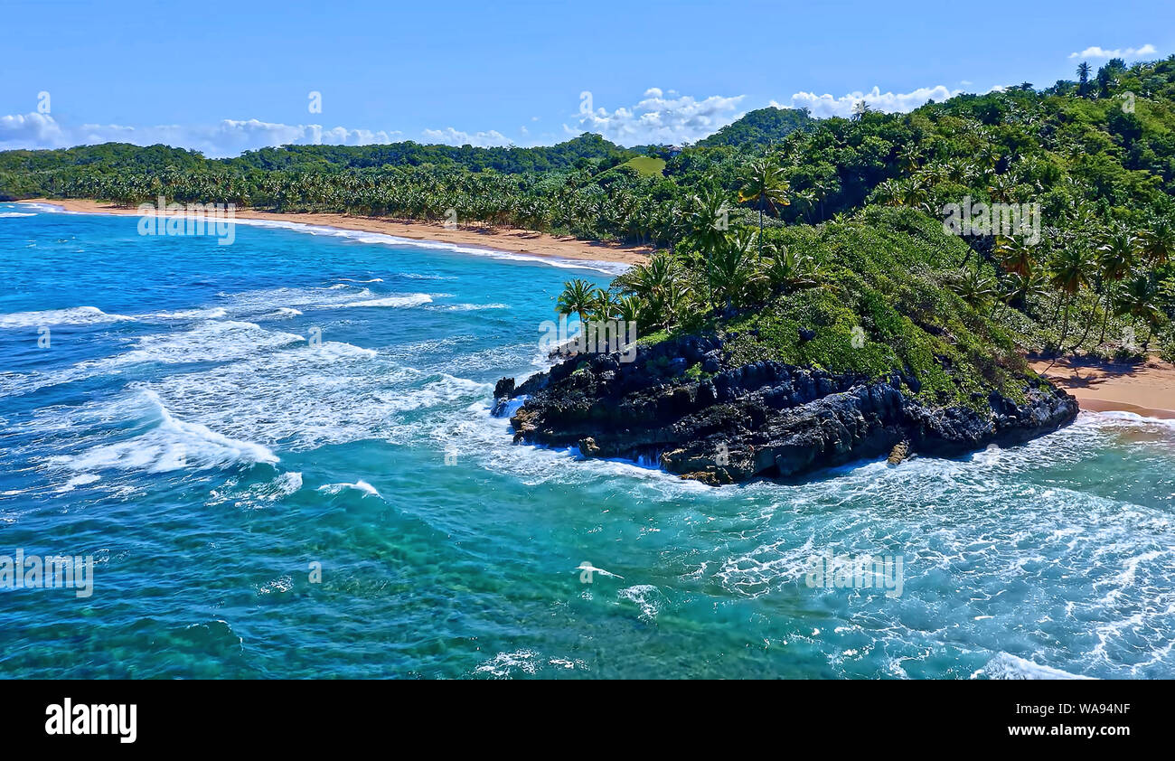 Seaside forest hi-res stock photography and images - Alamy