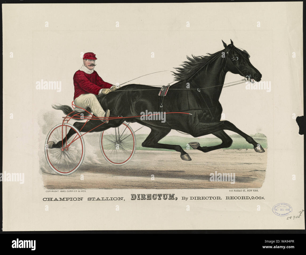 Champion Stallion, Directum, by Director: Record, 2:06 1/2 Stock Photo ...
