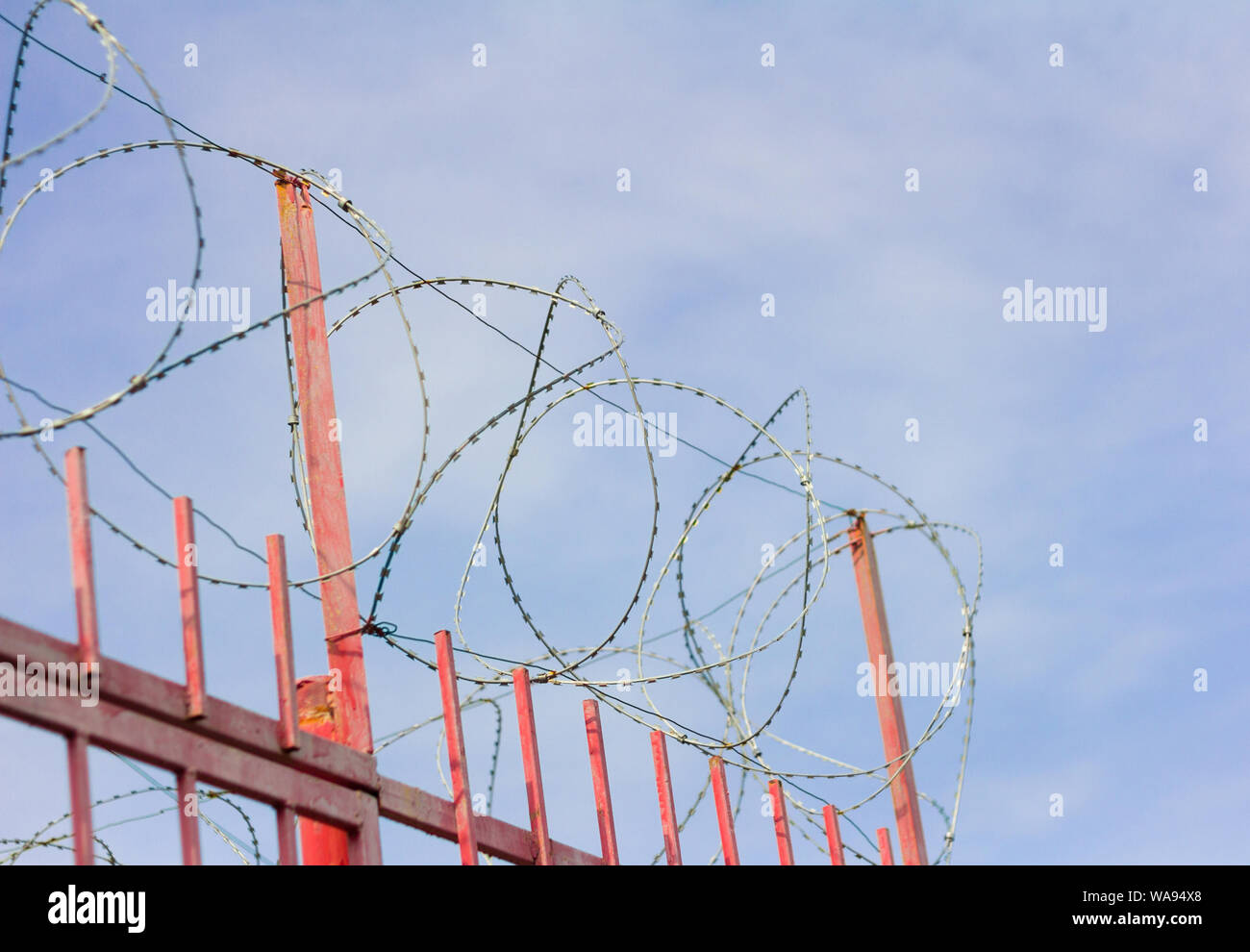 barbed wire on a metal fence,fencing dangerous object Stock Photo - Alamy