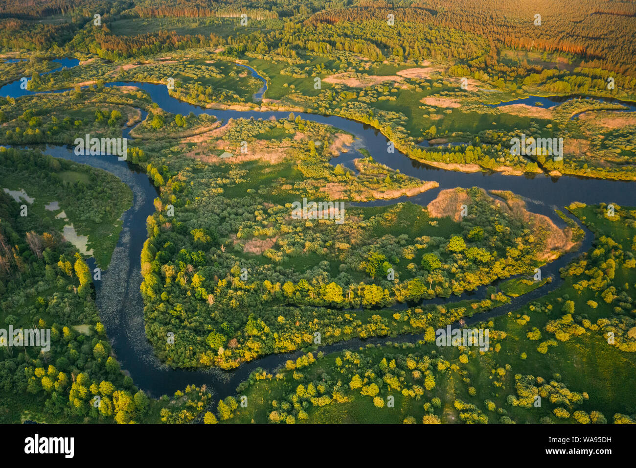 Belarus. Aerial View Green Forest Woods And River Landscape In Sunny ...